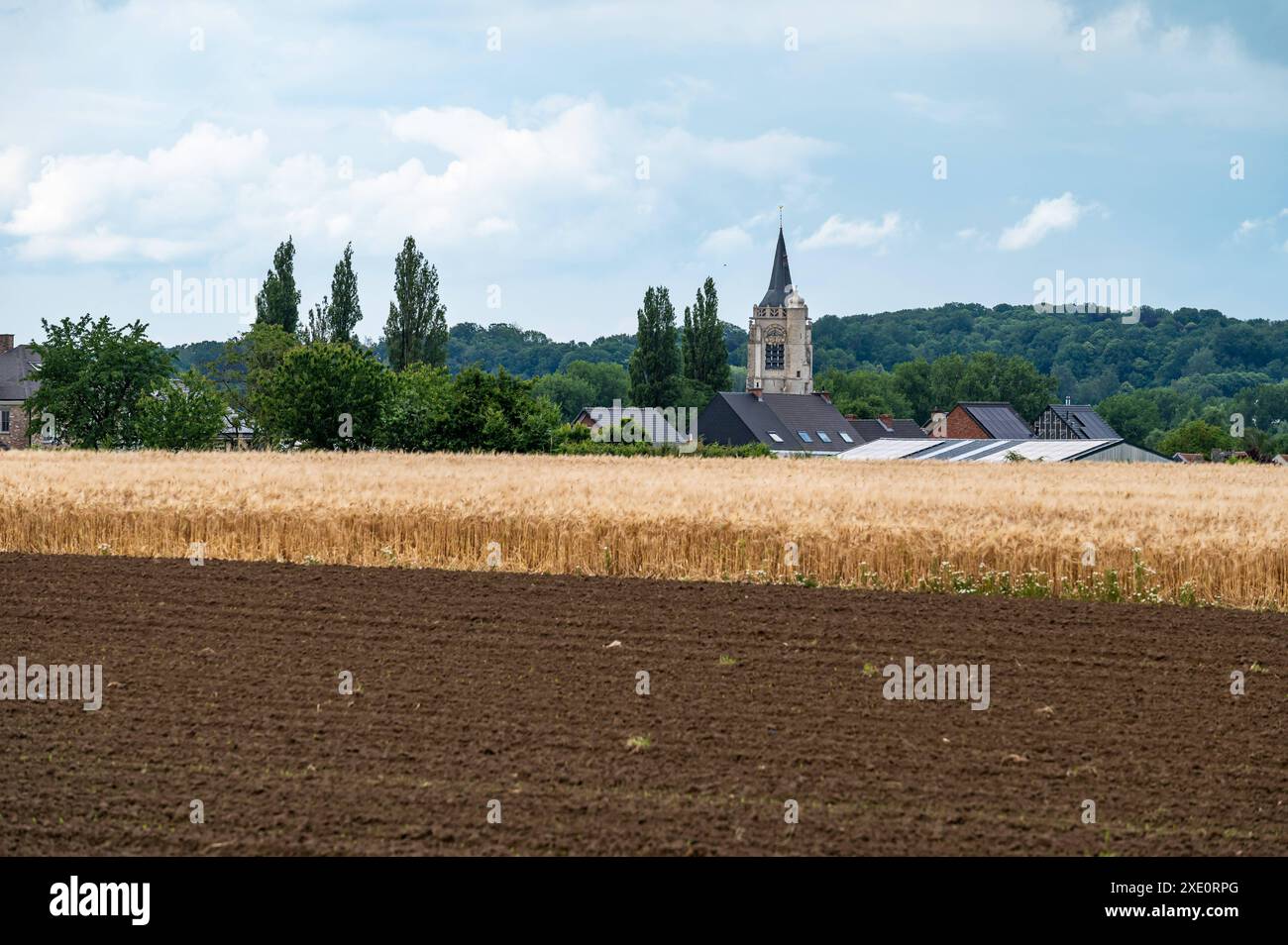 The village of Zemst, brown soil and golden agriculture fields around ...