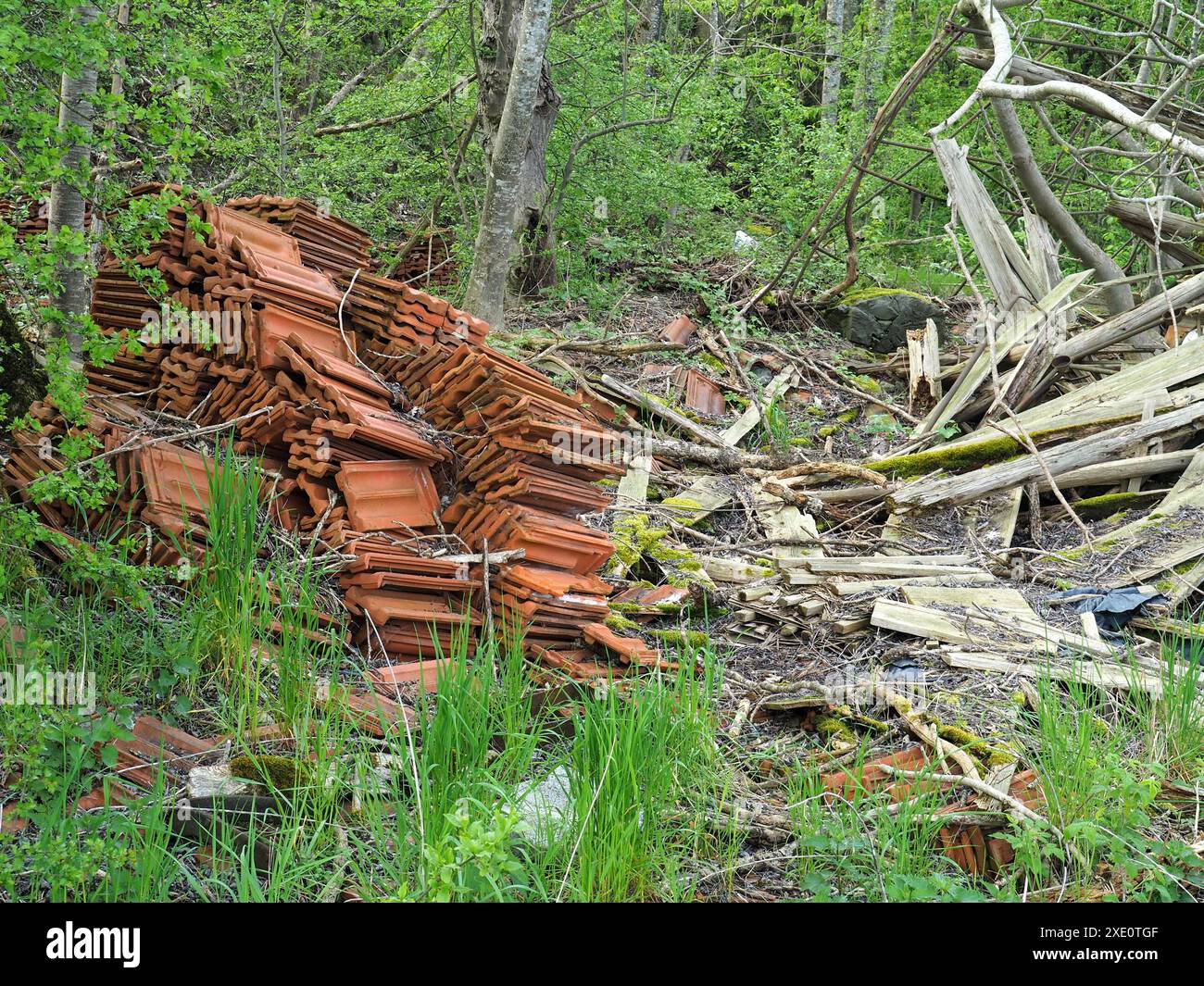 Wild dumping of garbage in nature Stock Photo - Alamy
