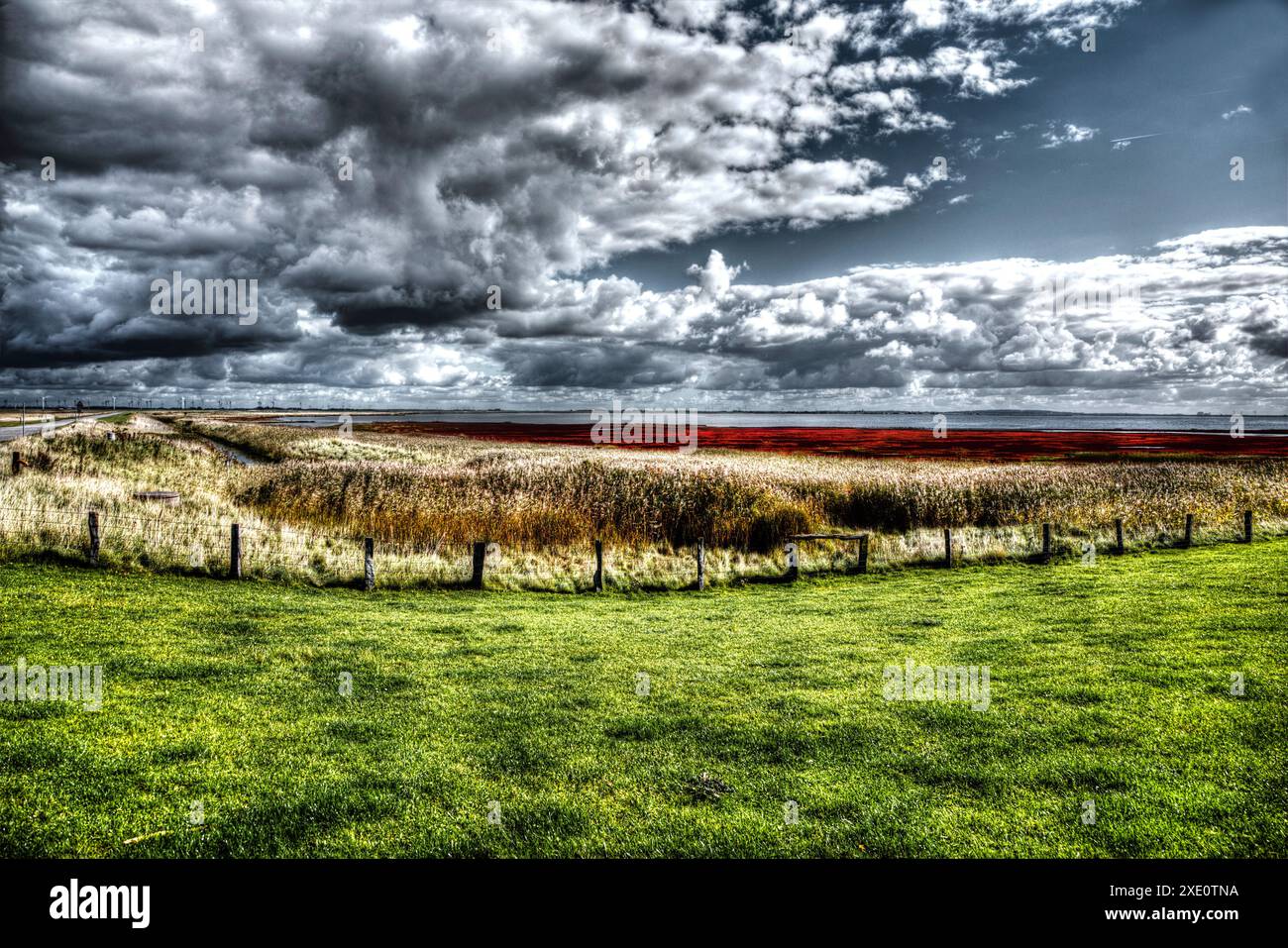 salt marshes by the Hallig Hamburg.in Front of the coast of northsea ...