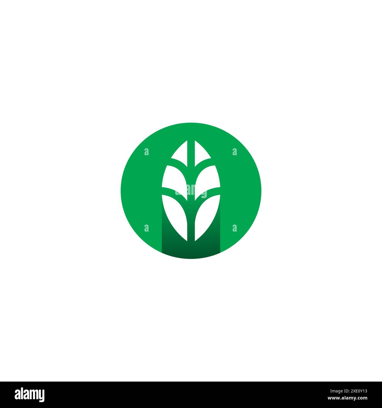 Letter O Leaf Logo Vector Illustration. Nature Organic Icon Stock ...