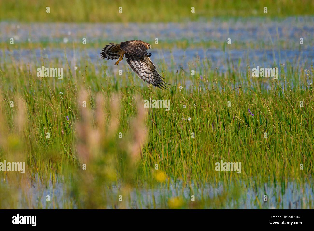 Clouds hovering over lake hi-res stock photography and images - Alamy