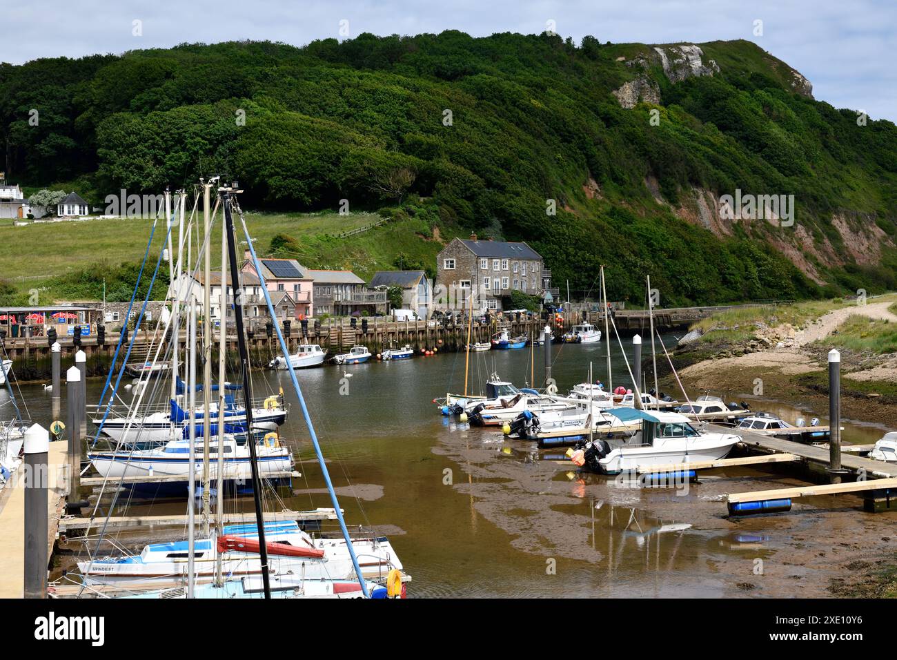 Axmouth Harbour in the Summer Devon England uk Stock Photo - Alamy