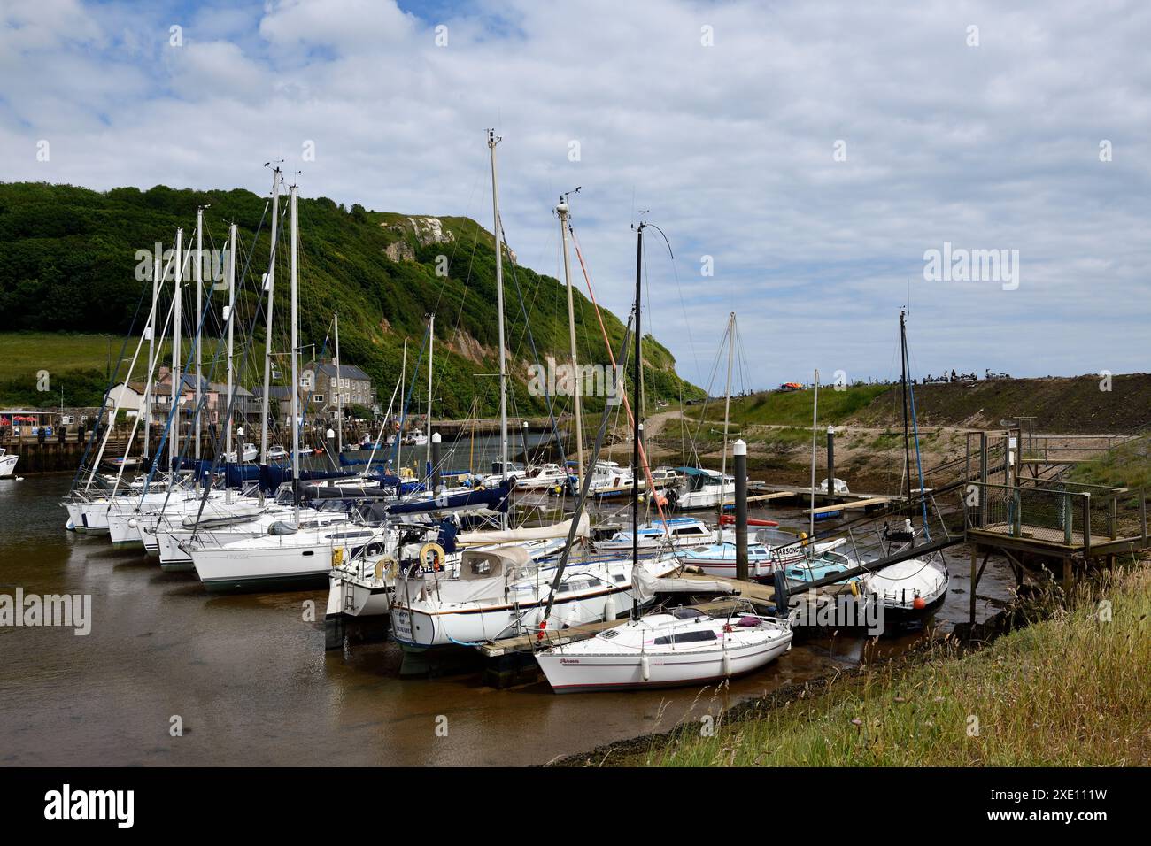 Axmouth Harbour in the Summer Devon England uk Stock Photo - Alamy