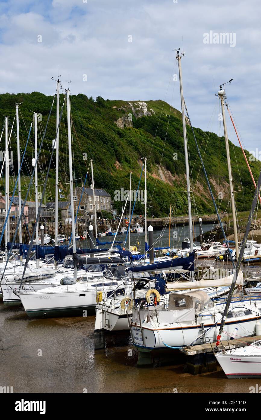 Axmouth Harbour in the Summer Devon England uk Stock Photo - Alamy