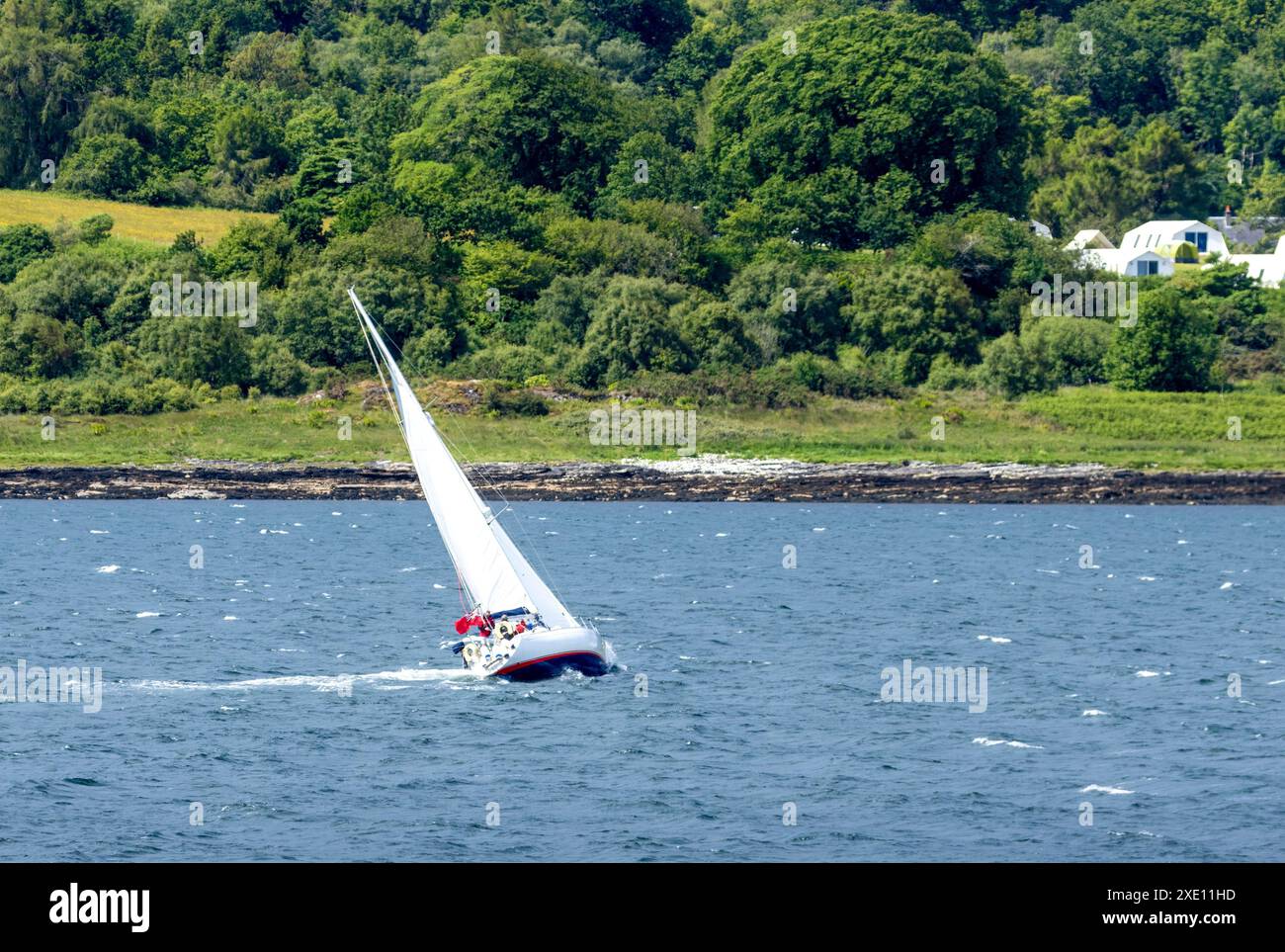 Sailing boat at full tilt on the Sound of Mull Stock Photo - Alamy