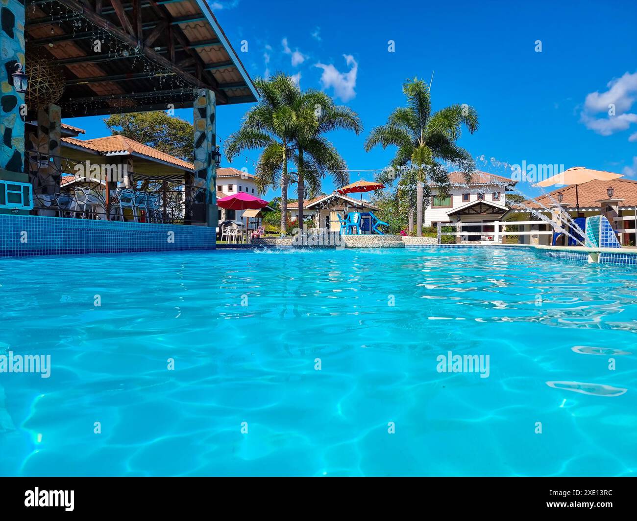 Panama, San Felix, Country Inn pool between palm trees, water level ...