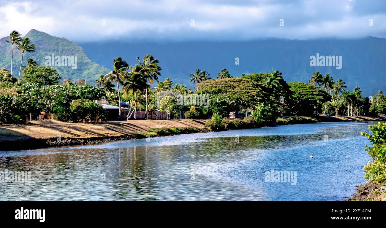 Hawaii oahu street hi-res stock photography and images - Alamy