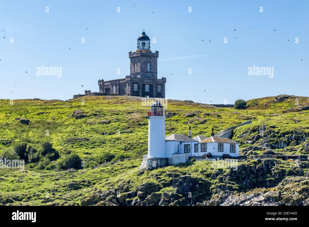 Lighthouse on the Isle of May island in Fife Stock Photo - Alamy