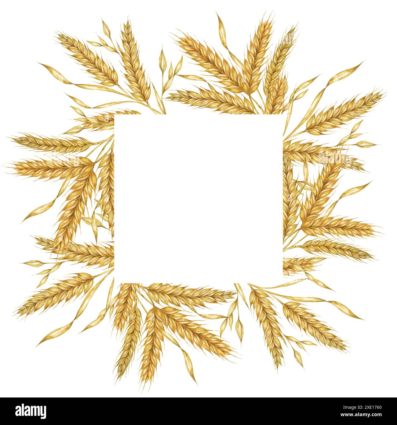 Wheat ears square frame. Barley stalks watercolor design for bread ...