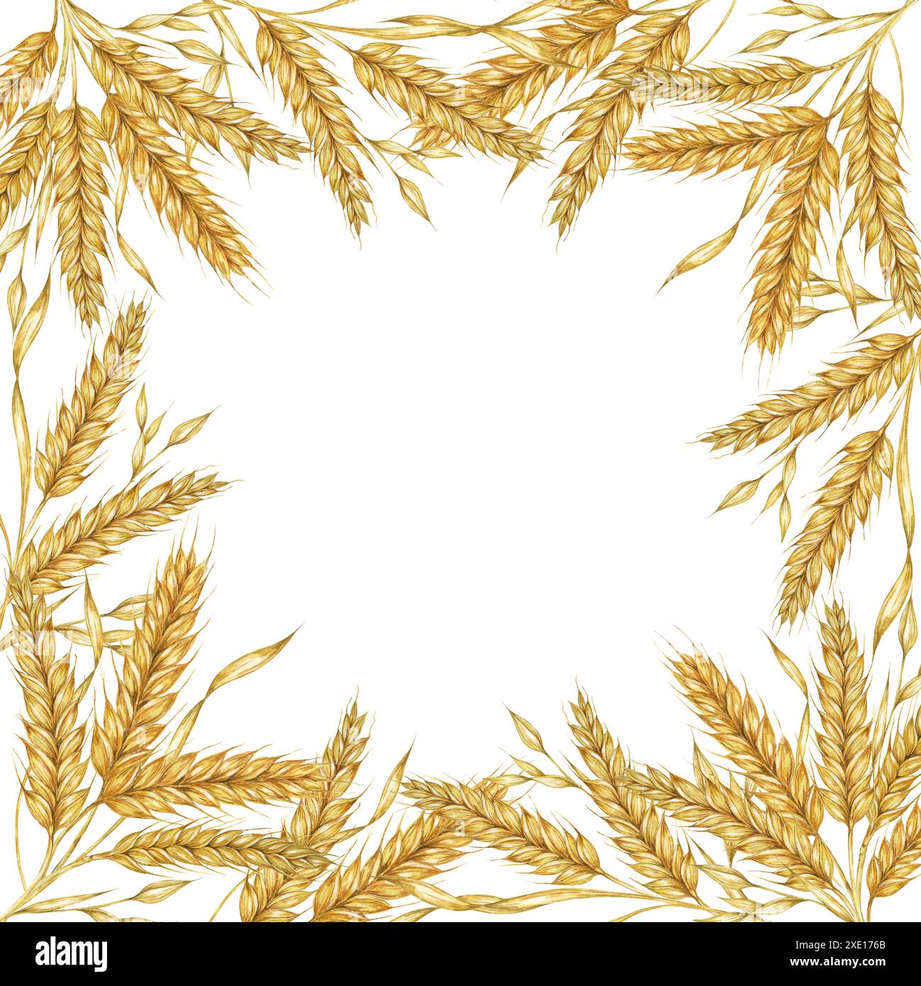 Wheat ears square frame. Barley stalks watercolor design for bread ...