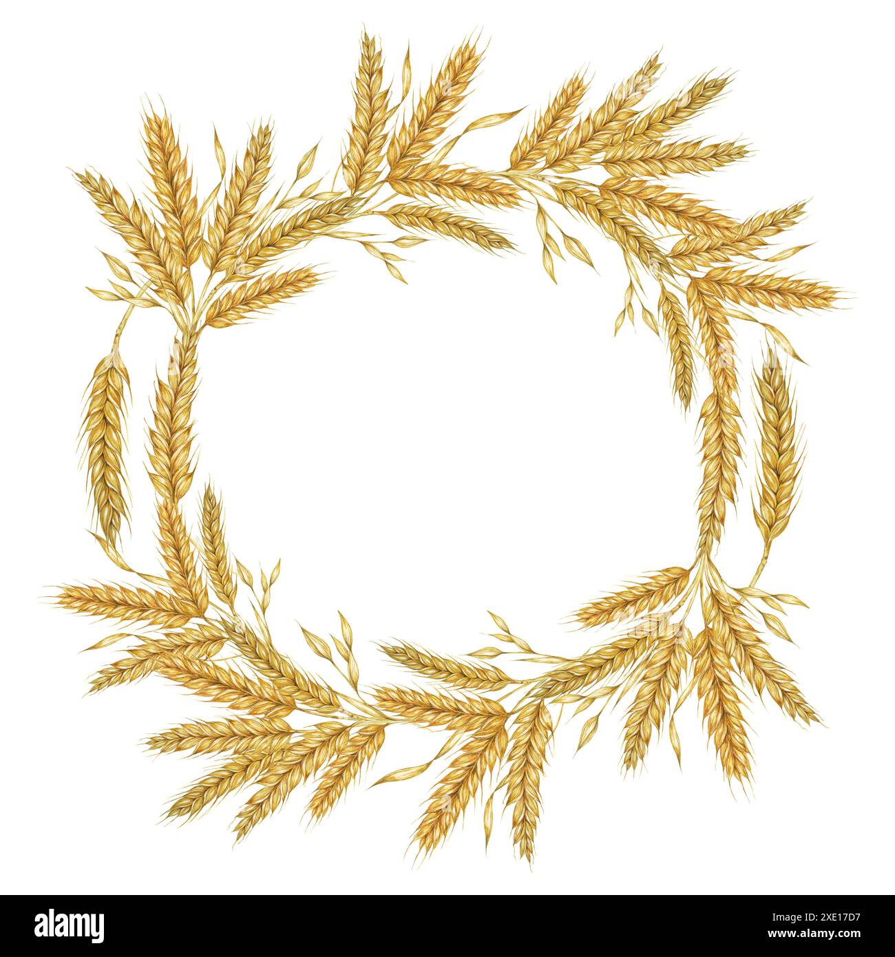 Wheat ears round frame. Barley stalks watercolor wreath for bread ...