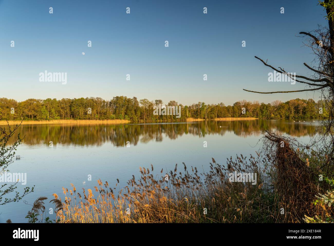 On the way in the biosphere reserve Oberlausitzer heath and pond ...