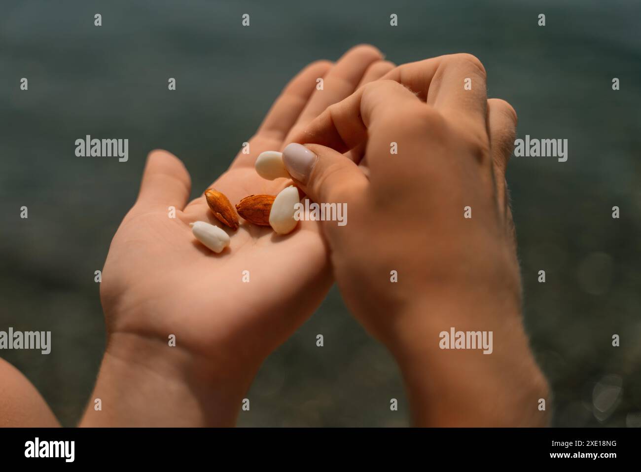 A person is holding a handful of nuts in their hand. The nuts are of ...