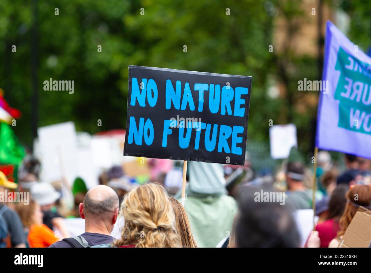 Placard, 'No Nature No Future', at the Restore Nature Now march, London ...