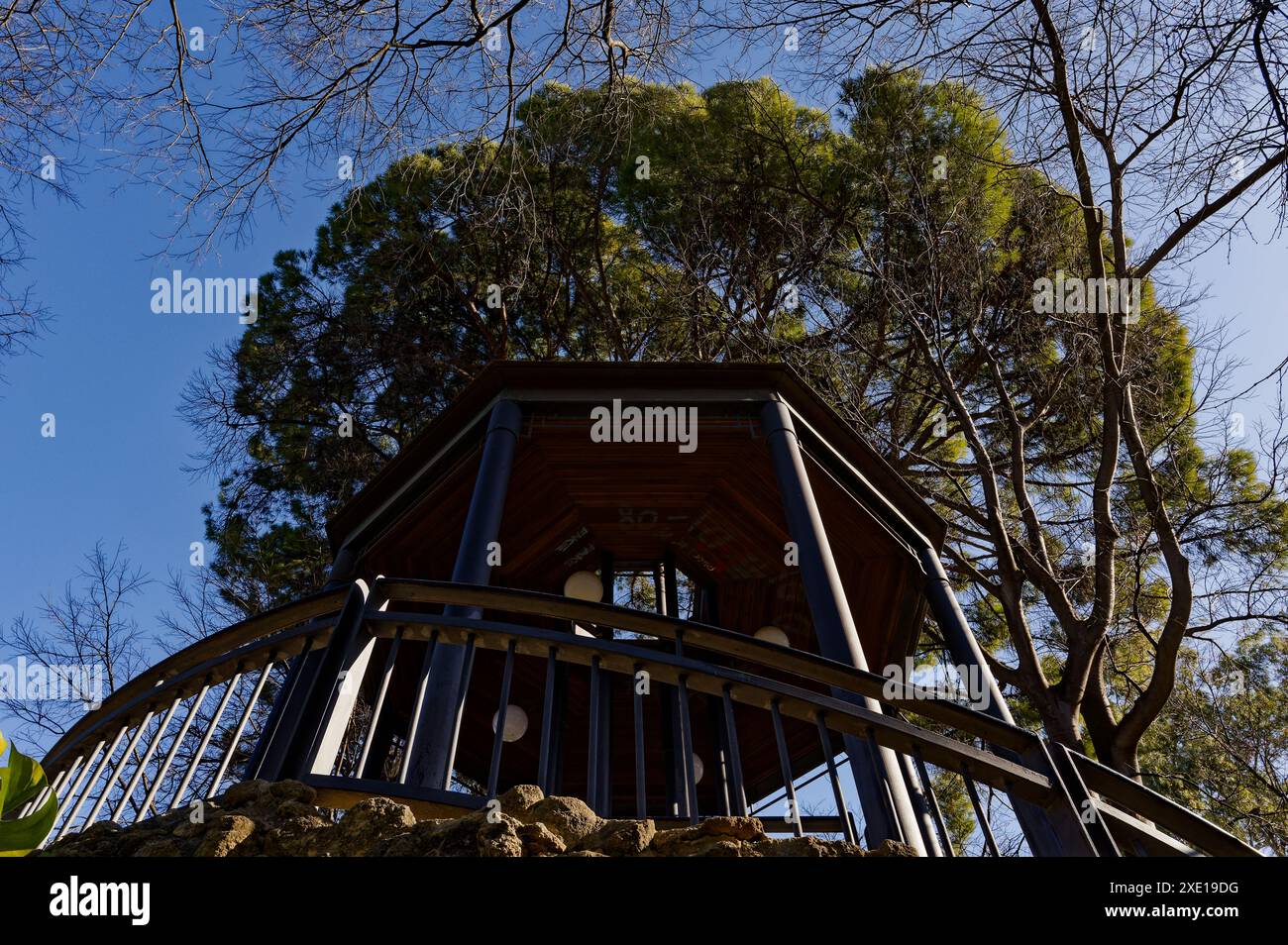 A wood roofed gazebo framed by a tall tree under a clear blue sky in ...