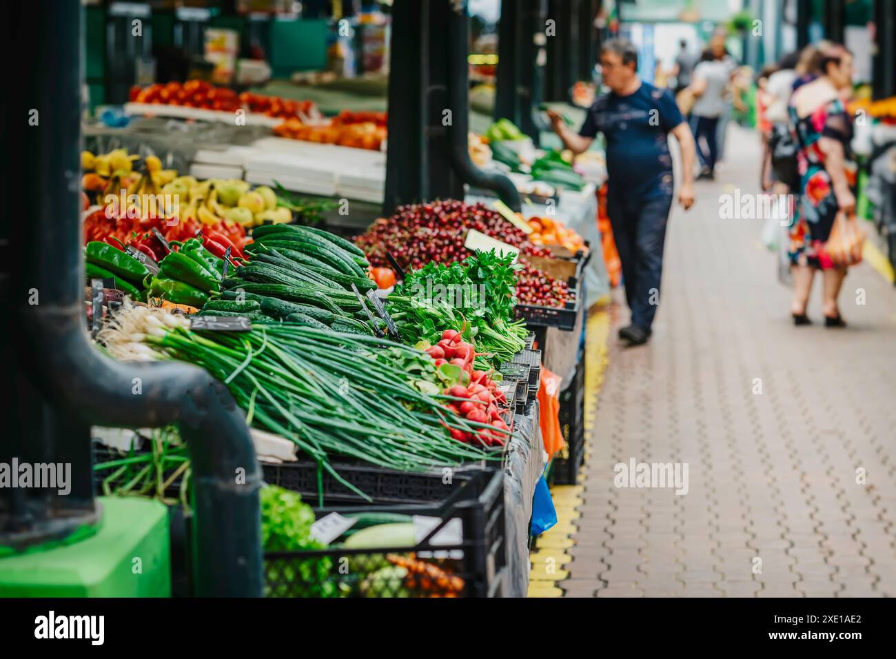 Fresh Produce Display, organic vegetables and fruits at Market Stock ...
