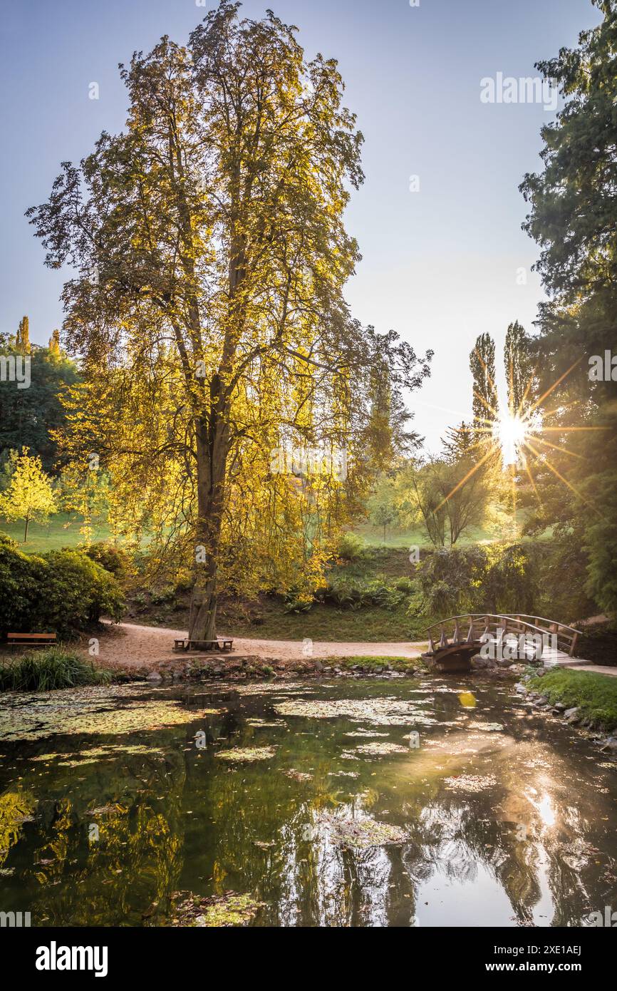 geography / travel, Germany, Hesse, Pond in Fuerstenlager state park ...