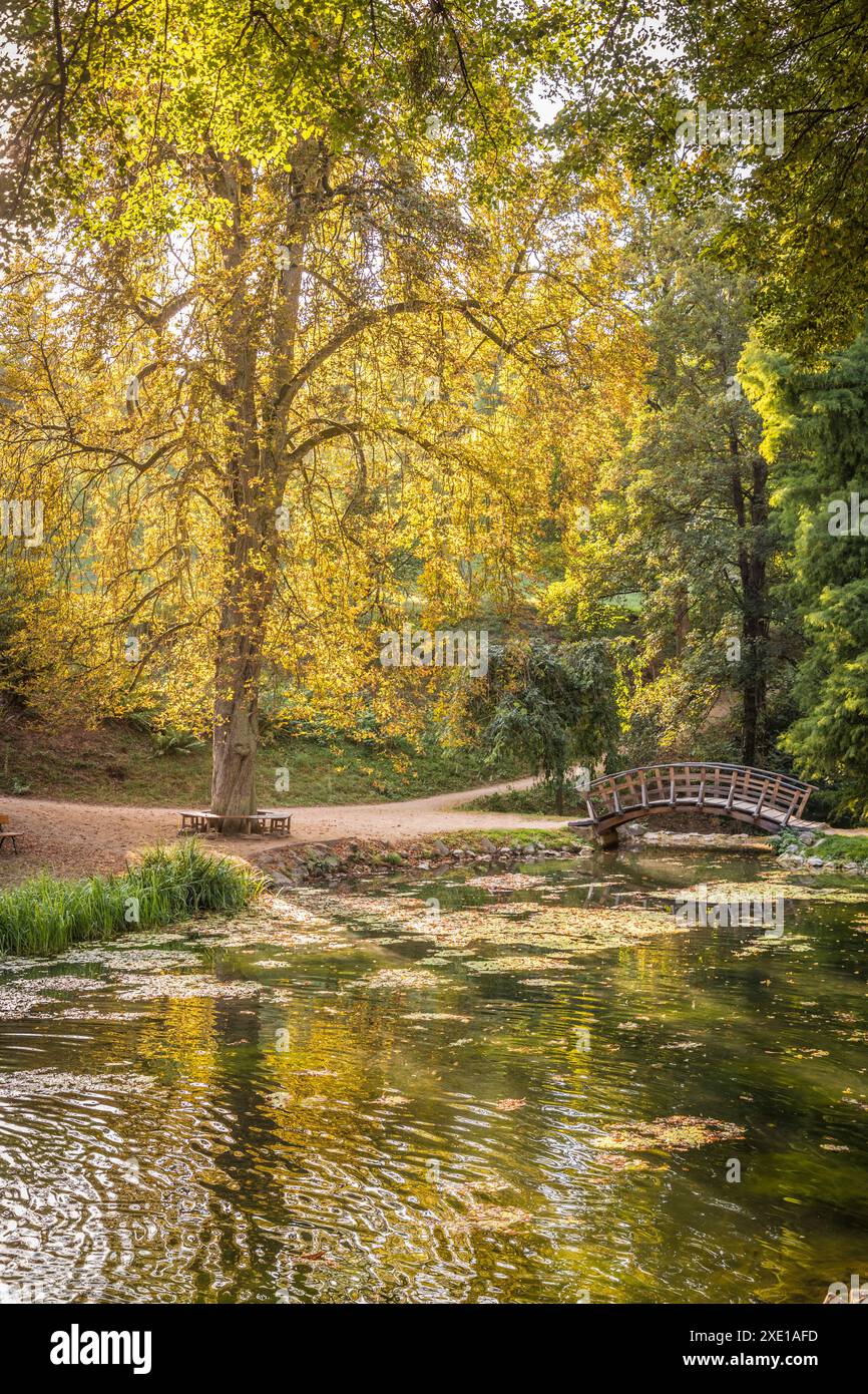 geography / travel, Germany, Hesse, Pond in Fuerstenlager state park ...
