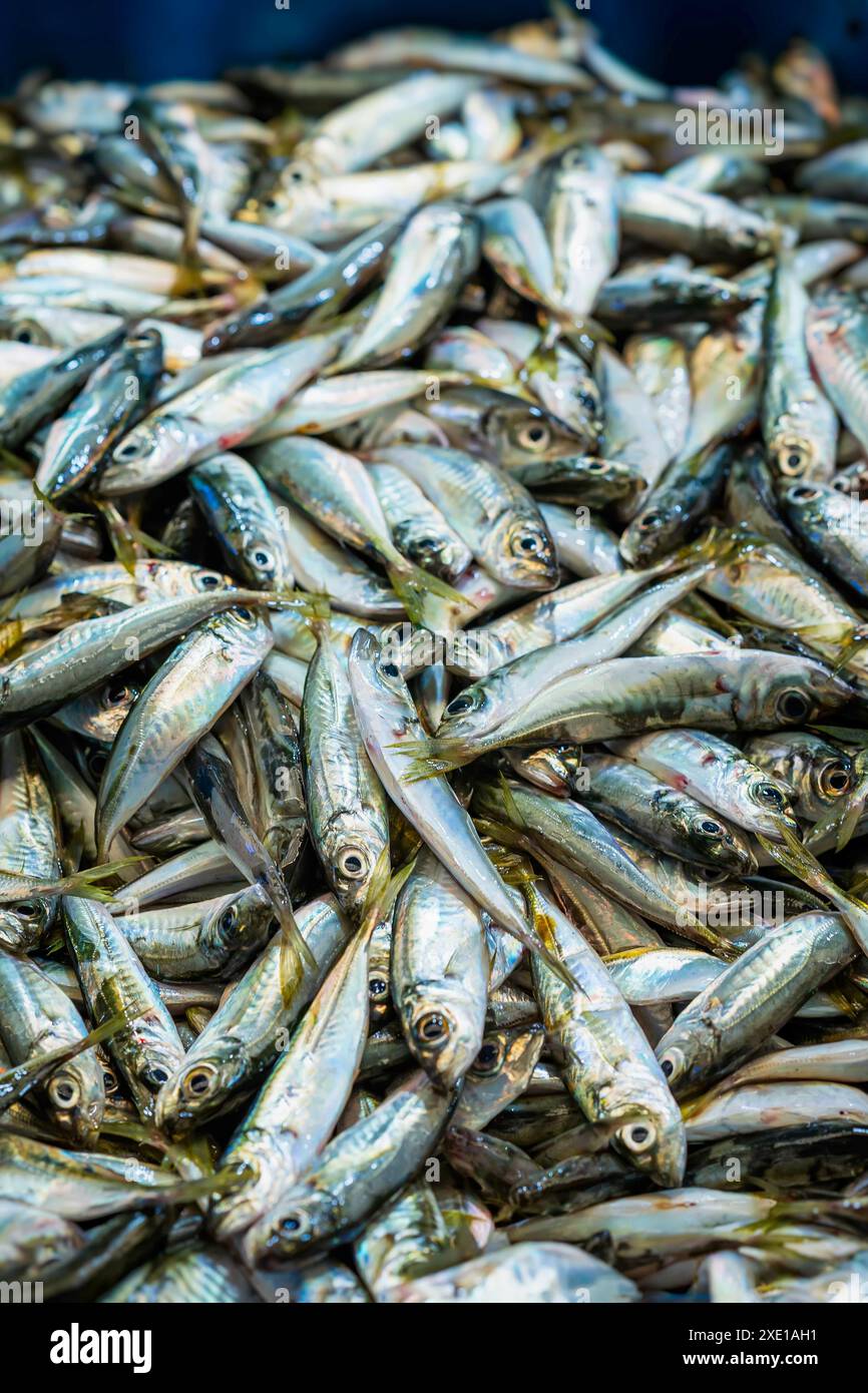 Pile of freshly caught fish at market Stock Photo - Alamy