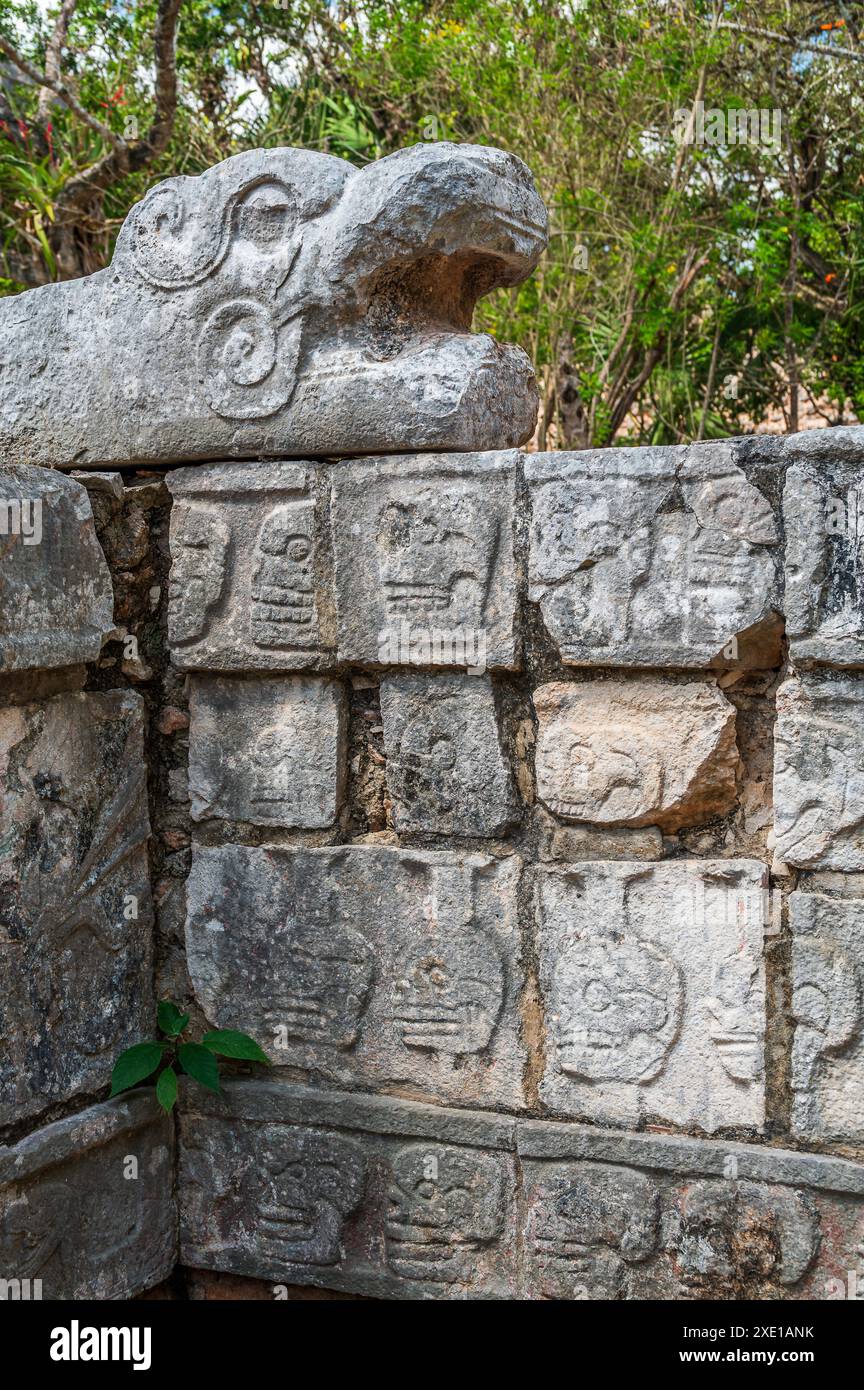 Maya relief sculpture hi-res stock photography and images - Alamy