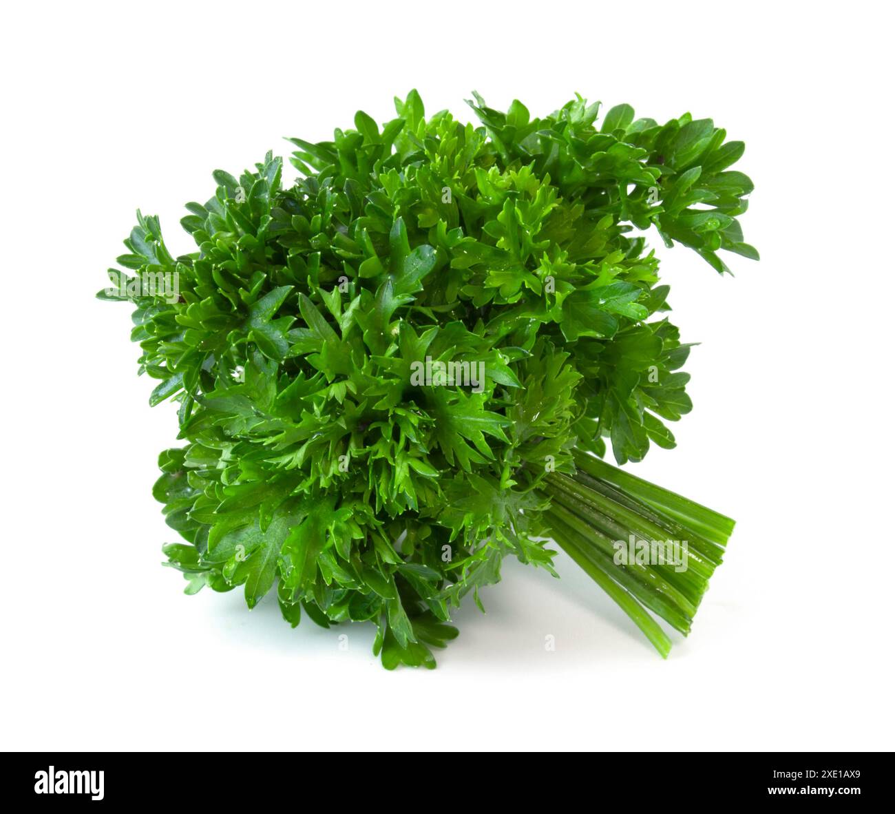 Herbs used in herbal Cut Out Stock Images & Pictures - Alamy