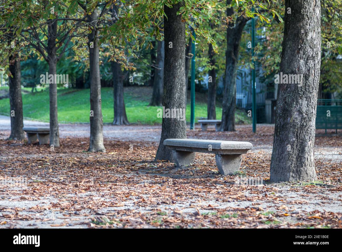 cement park bench along the path, autumn leaves cover the ground ...