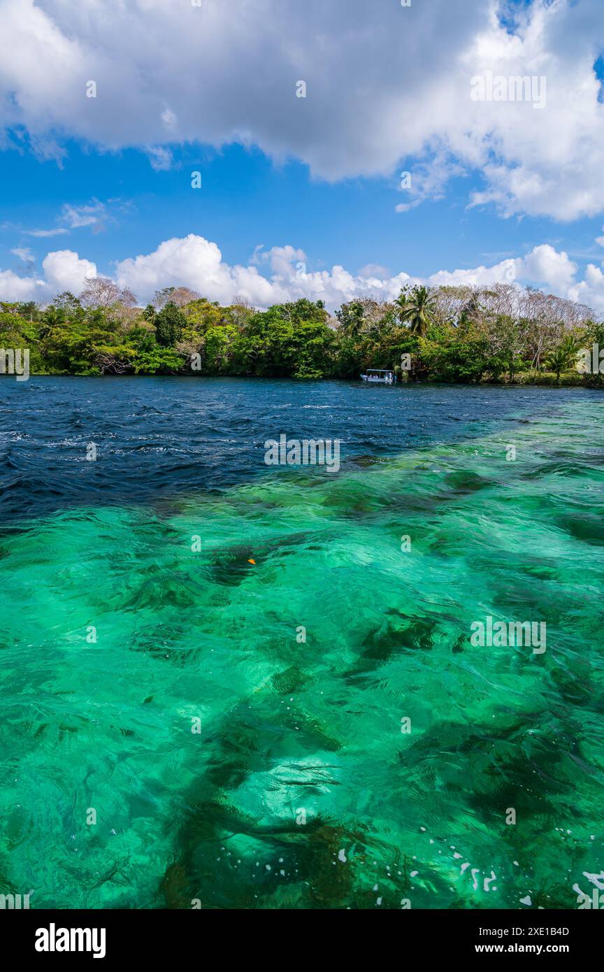 Turquoise water in natural hi-res stock photography and images - Alamy