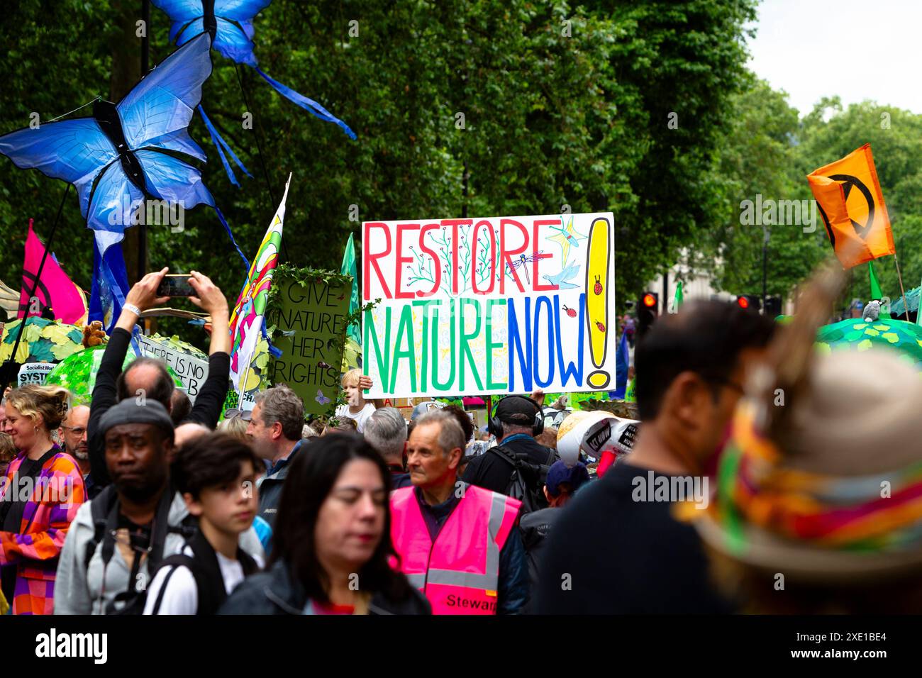 Restore Nature Now march, London, UK, 22 June 2024 Stock Photo - Alamy