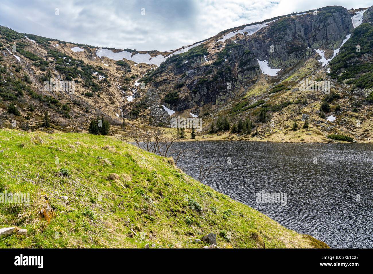 Giant small hi-res stock photography and images - Alamy