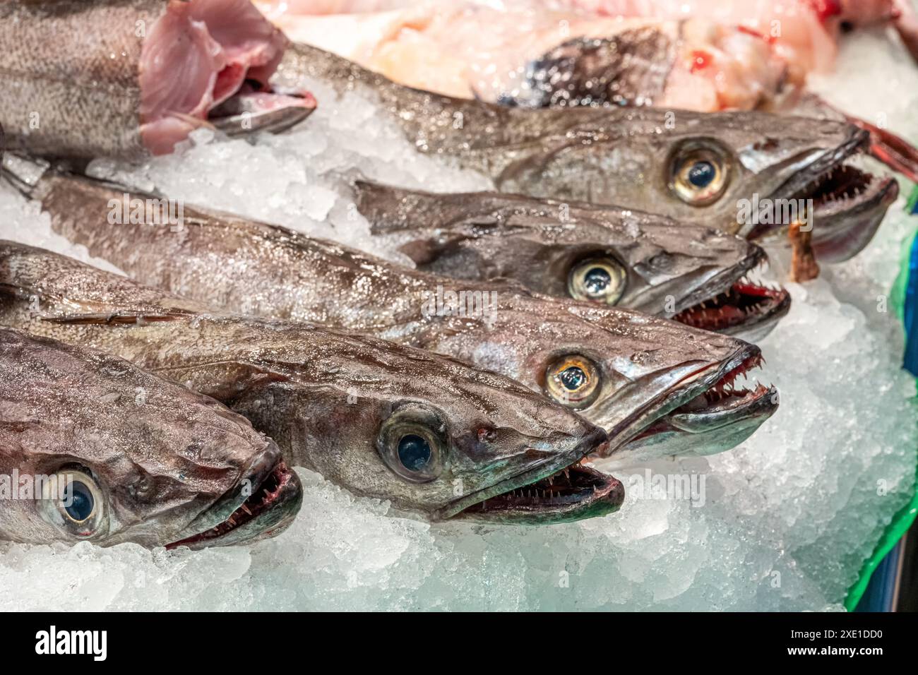 Fresh fish for sale at a market in Barcelona, Spain Stock Photo - Alamy