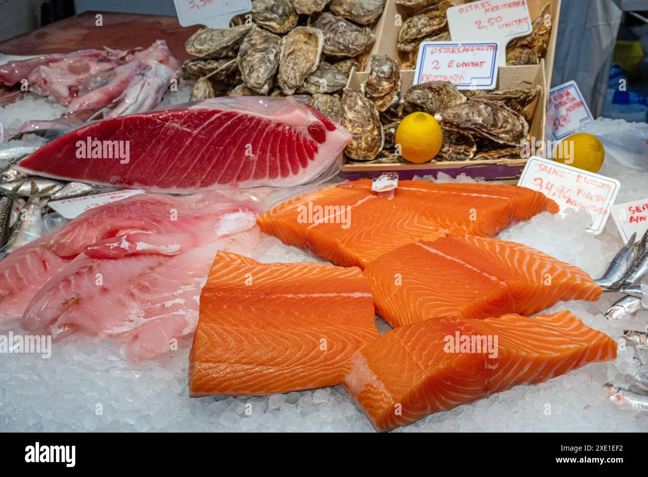 Different kinds of fish fillets and oysters for sale at a market in ...