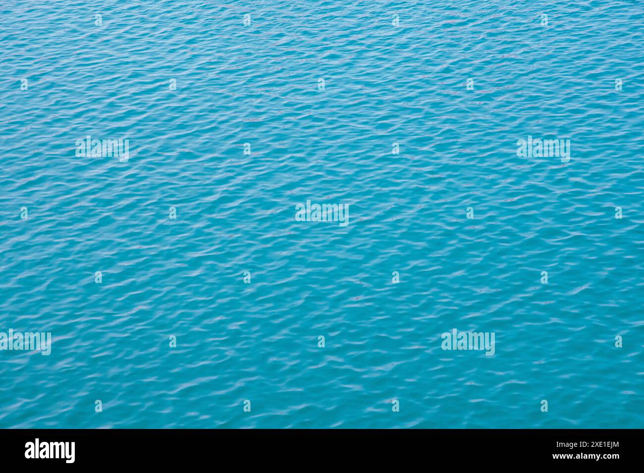 Aquatic serenity hi-res stock photography and images - Alamy