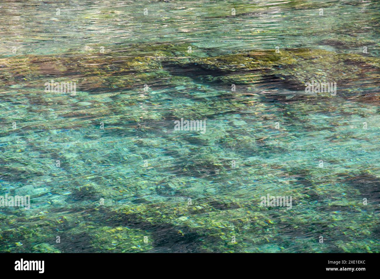 Underwater Serenity: A Glimpse into Aquatic Tranquility Stock Photo - Alamy