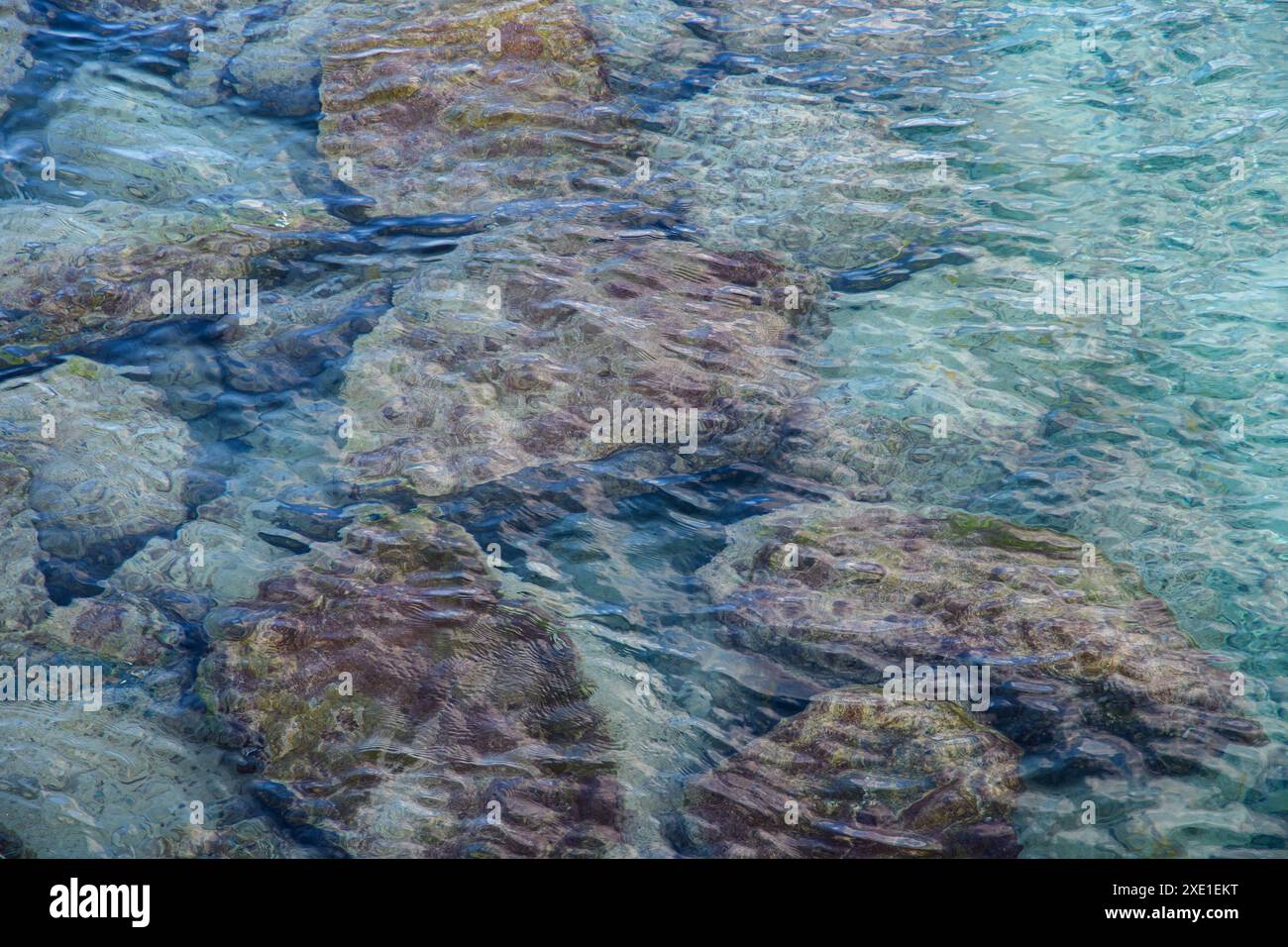 Riverbed Revealed: A Clear Gaze into the Depths Stock Photo - Alamy