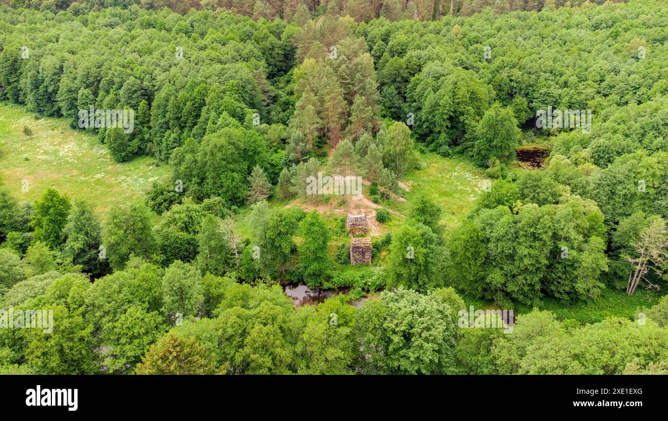 Top view of green forest with trees and river Merkys, railway bridge ...