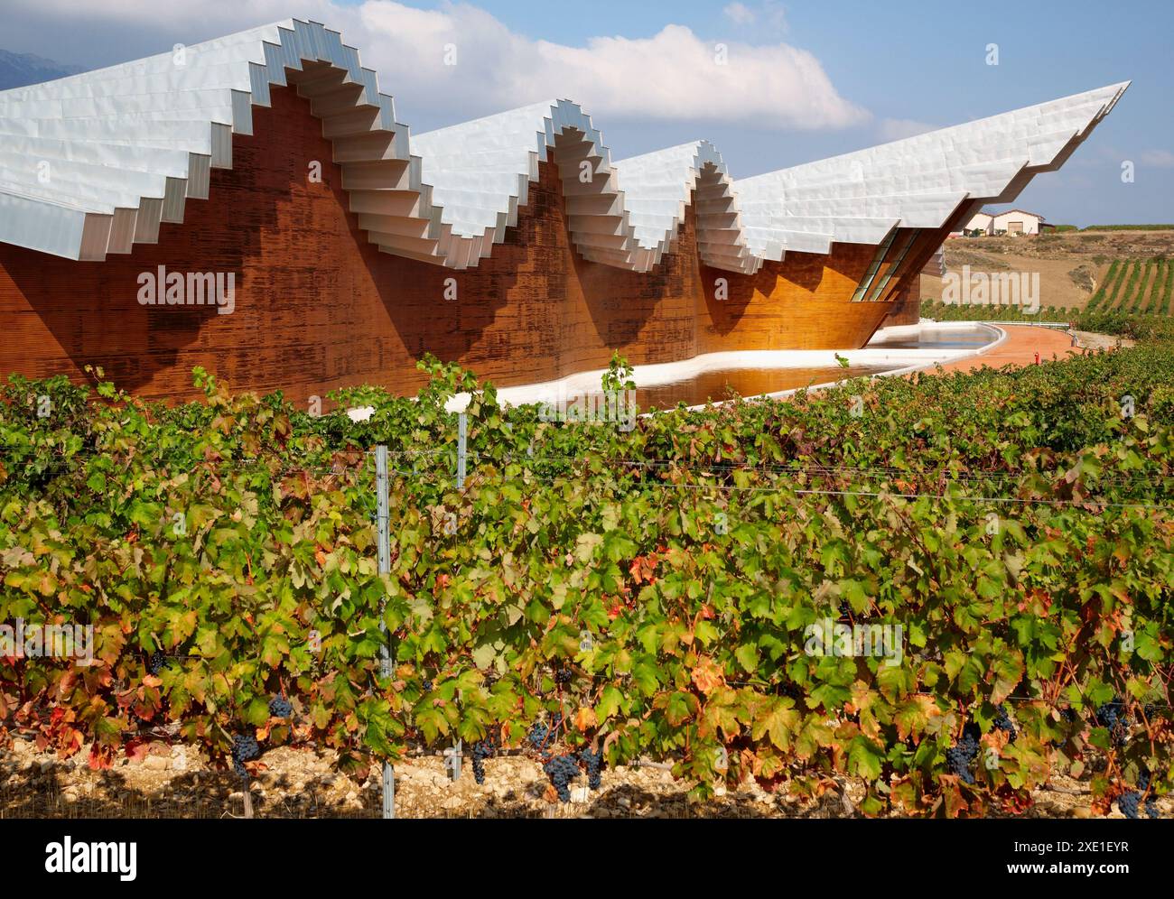 Vineyard and Ysios winery building designed by architect Santiago ...