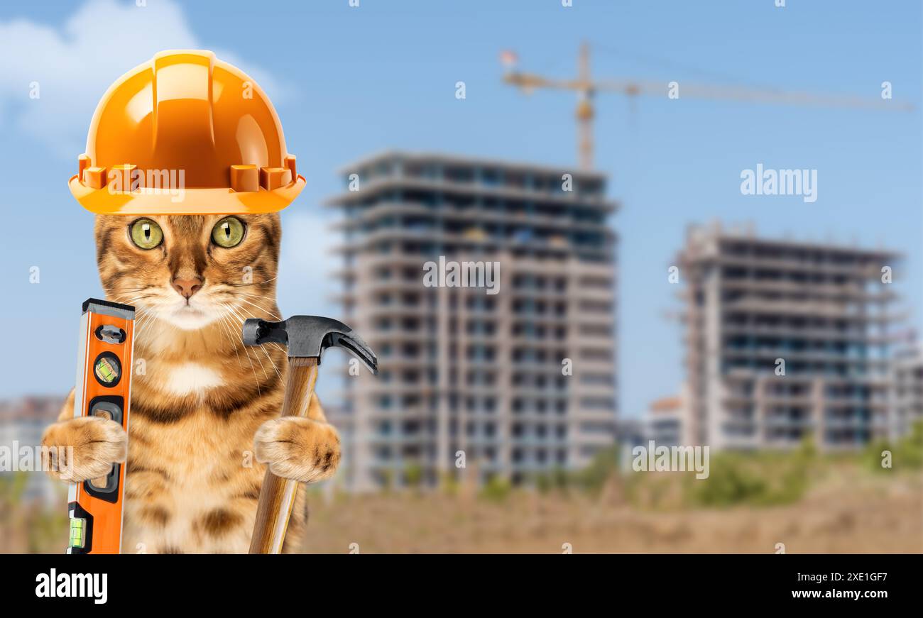 Funny cat in a construction helmet on the background of a construction ...