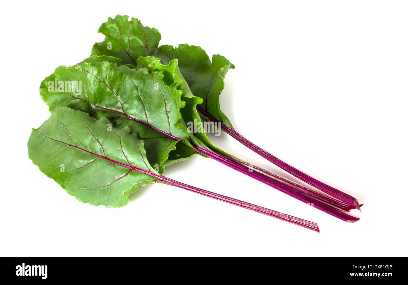 Beetroot leaves isolated on a white background. Greens for salad and ...
