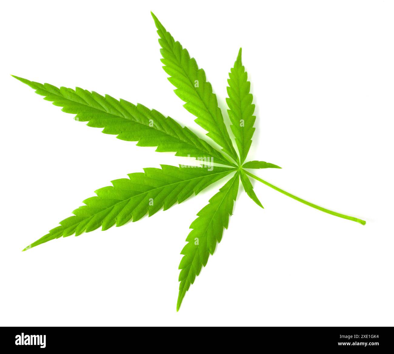 Big joint of marijuana Cut Out Stock Images & Pictures - Alamy