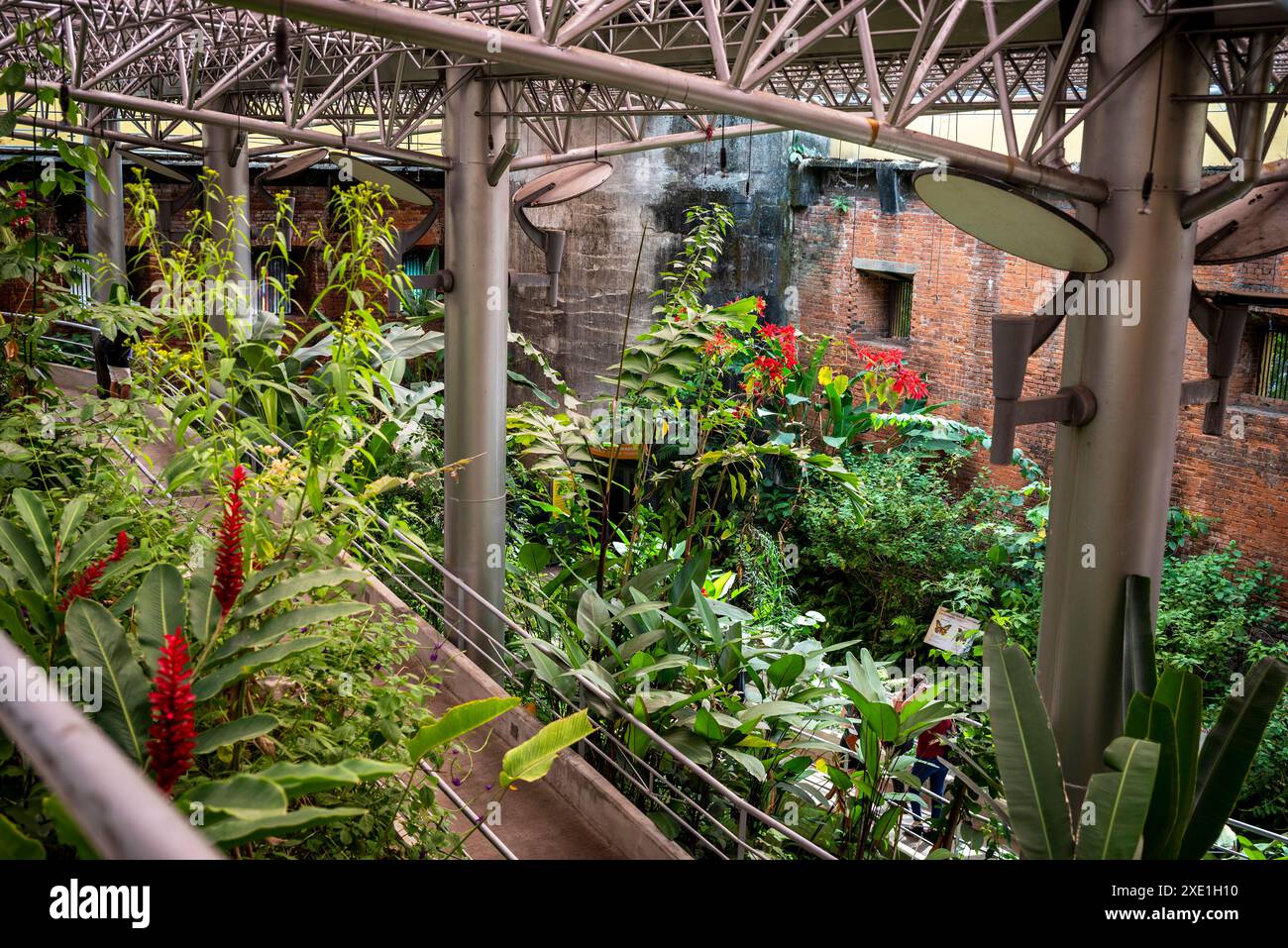Tropical garden in the National Museum of Costa, San Jose, Costa, Rica ...