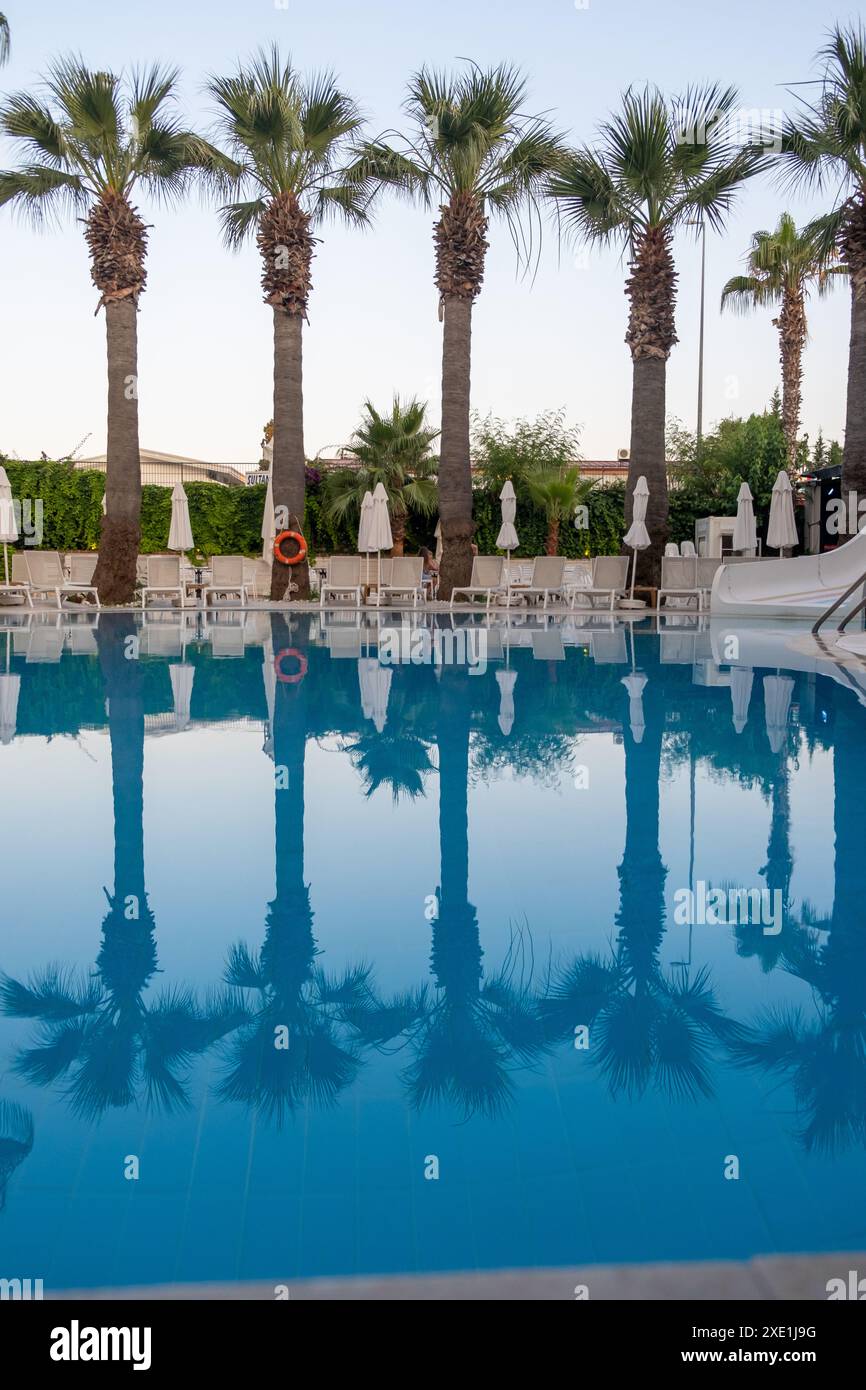 Beautiful swimming pool with palm trees hi-res stock photography and images - Alamy