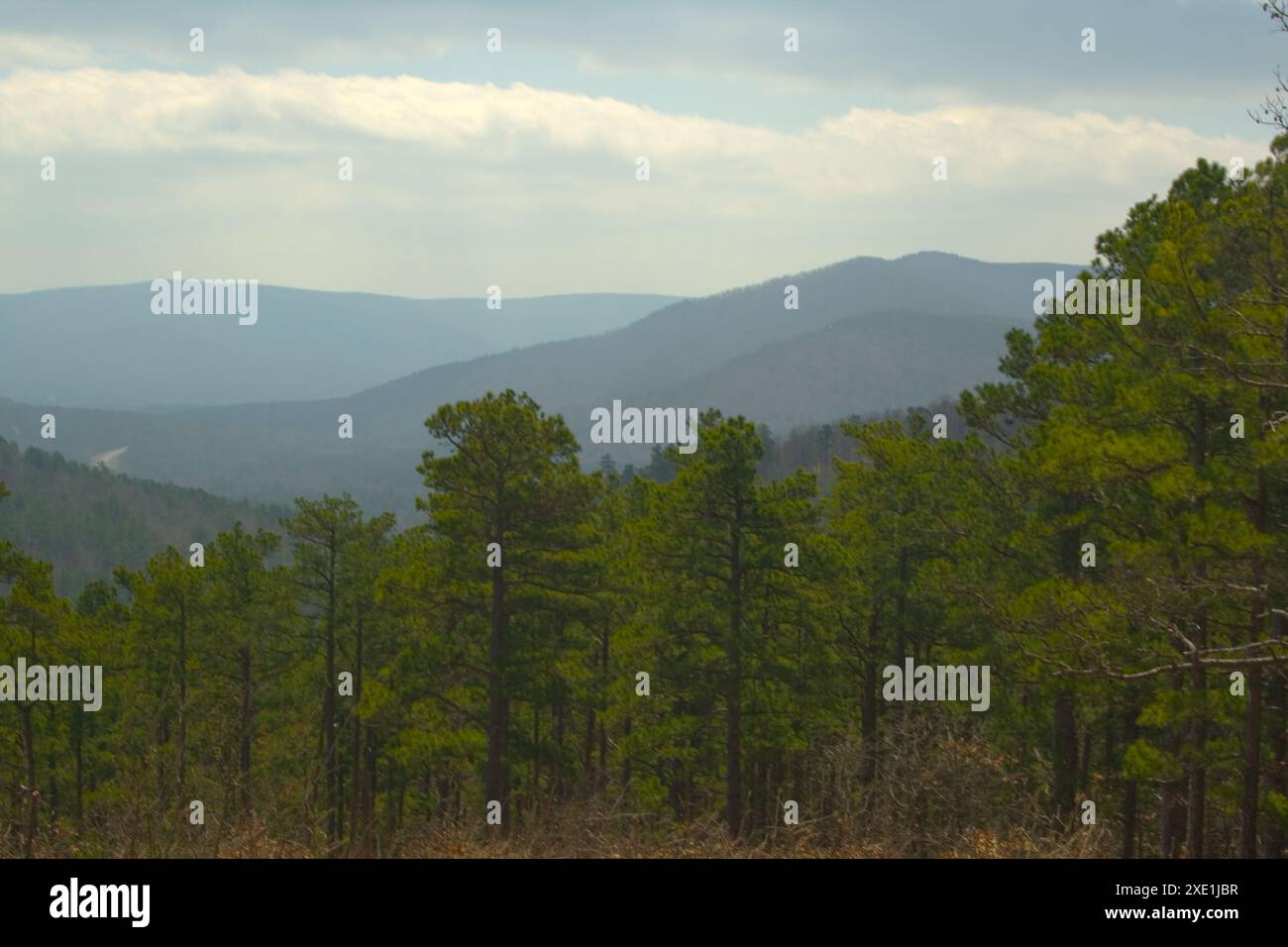 The Ouachita Mountains in Oklahoma Seen From the Talimena Scenic Drive ...