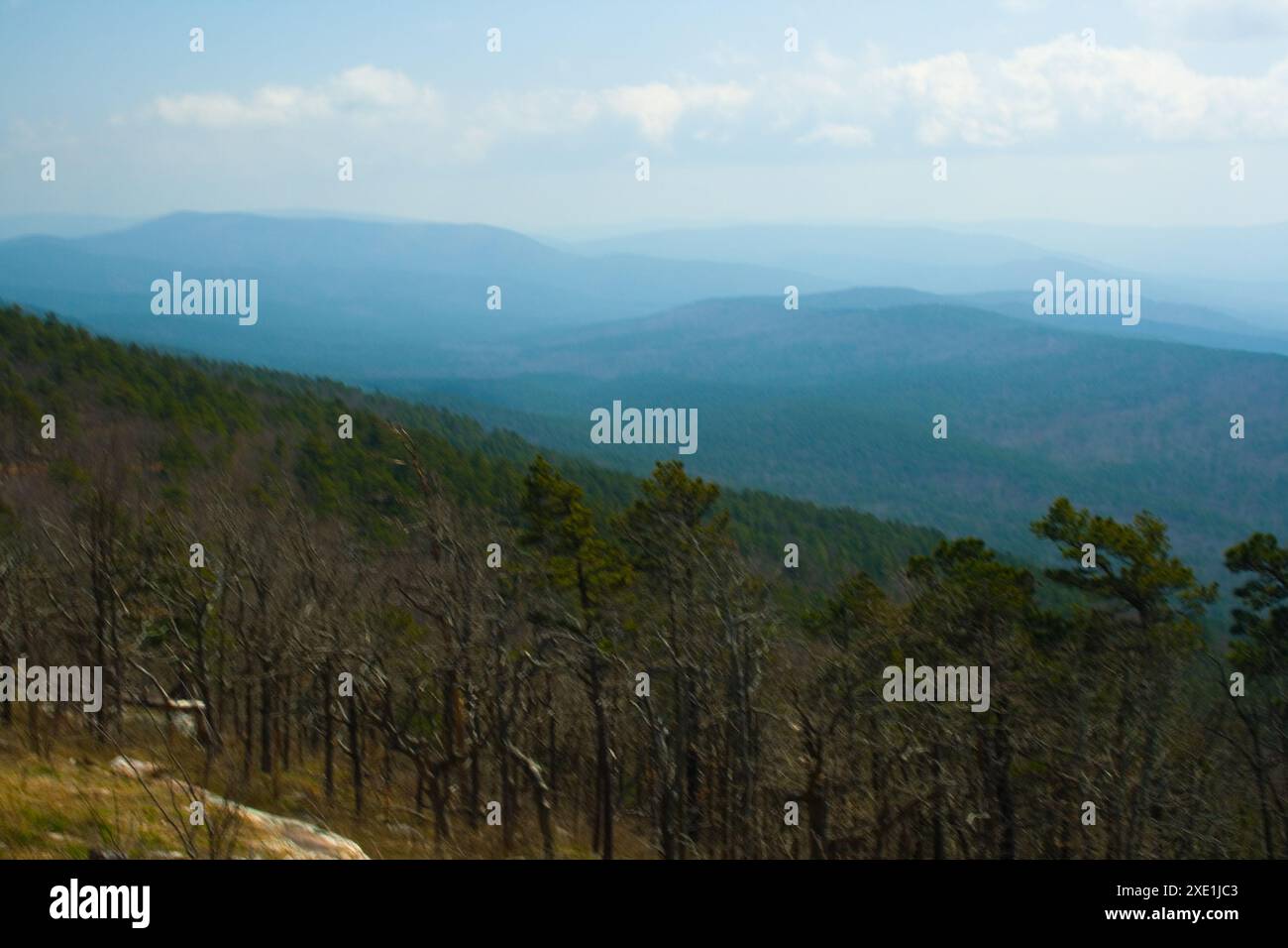 The Ouachita Mountains in Oklahoma Seen From the Talimena Scenic Drive ...