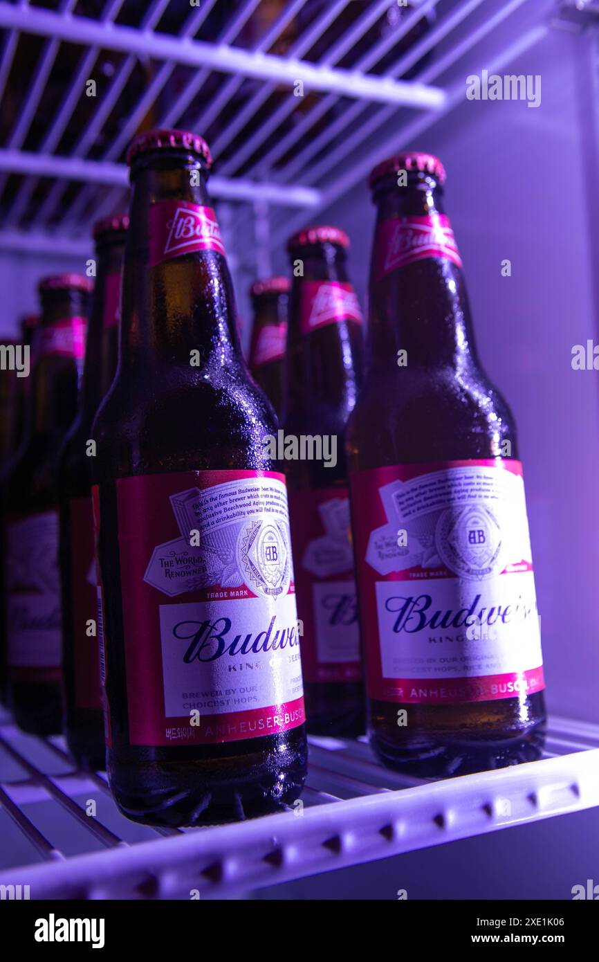 Budweiser beer in fridge hi-res stock photography and images - Alamy