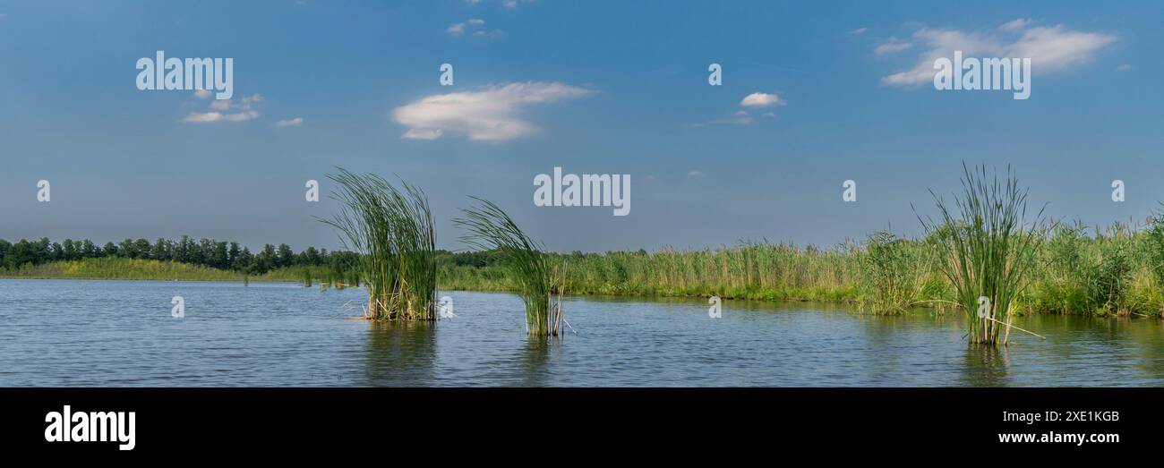 Ka hten hi-res stock photography and images - Alamy