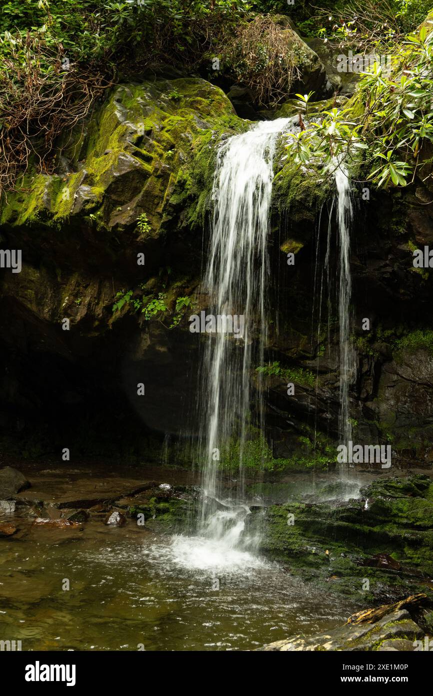Grotto Falls near Gatlinburg in the Great Smoky Mountains national Park ...