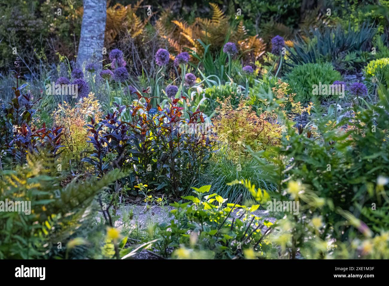 Colorful Perennial Garden at the Atlanta Botanical Garden in Midtown ... Colorful Perennial Garden at the Atlanta Botanical Garden in Midtown ...