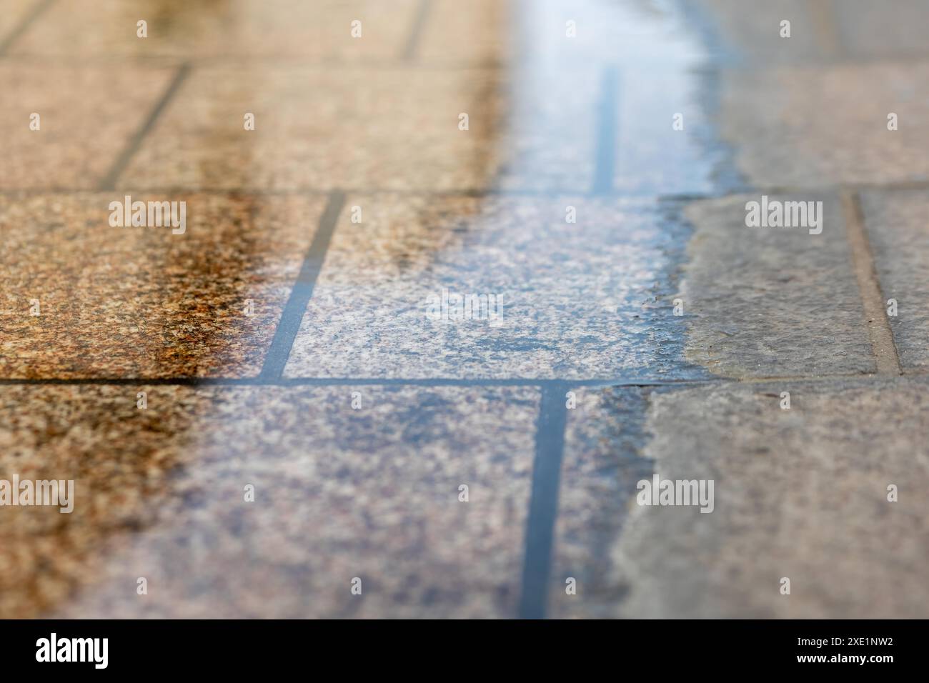 A flagstone walkway in the rain Stock Photo - Alamy