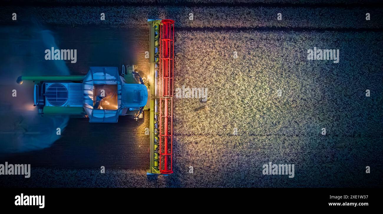 Working combine harvester at night with lights illuminating the field ...