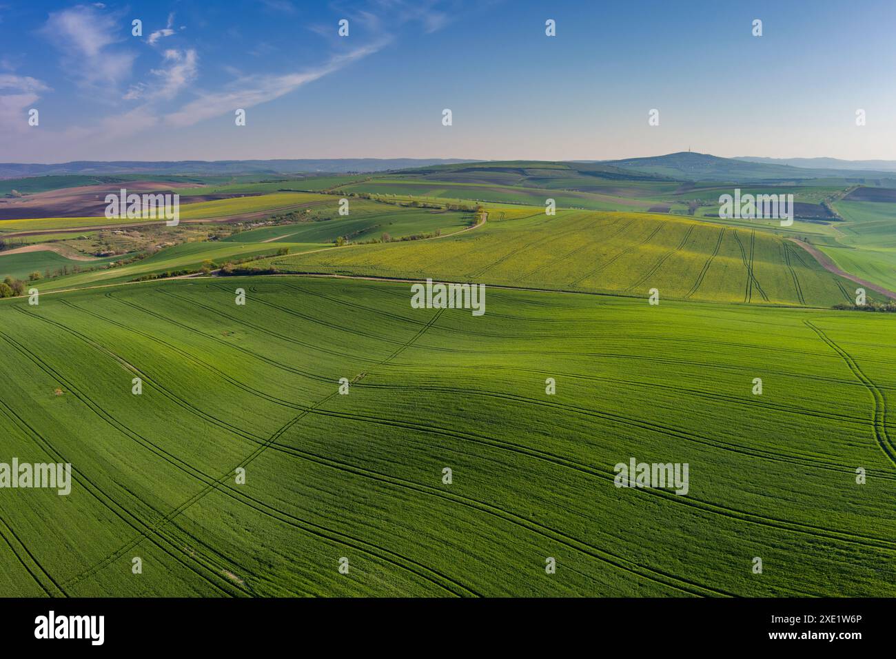 Green rolling fields summer hi-res stock photography and images - Alamy